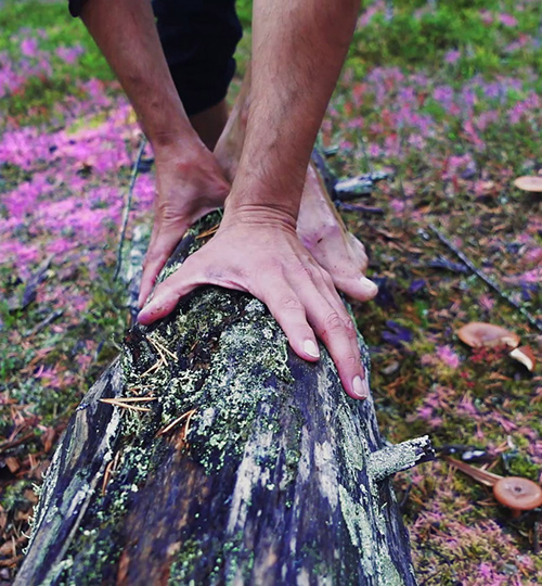 Amir Abdi Art – Life time dedicated to visual art